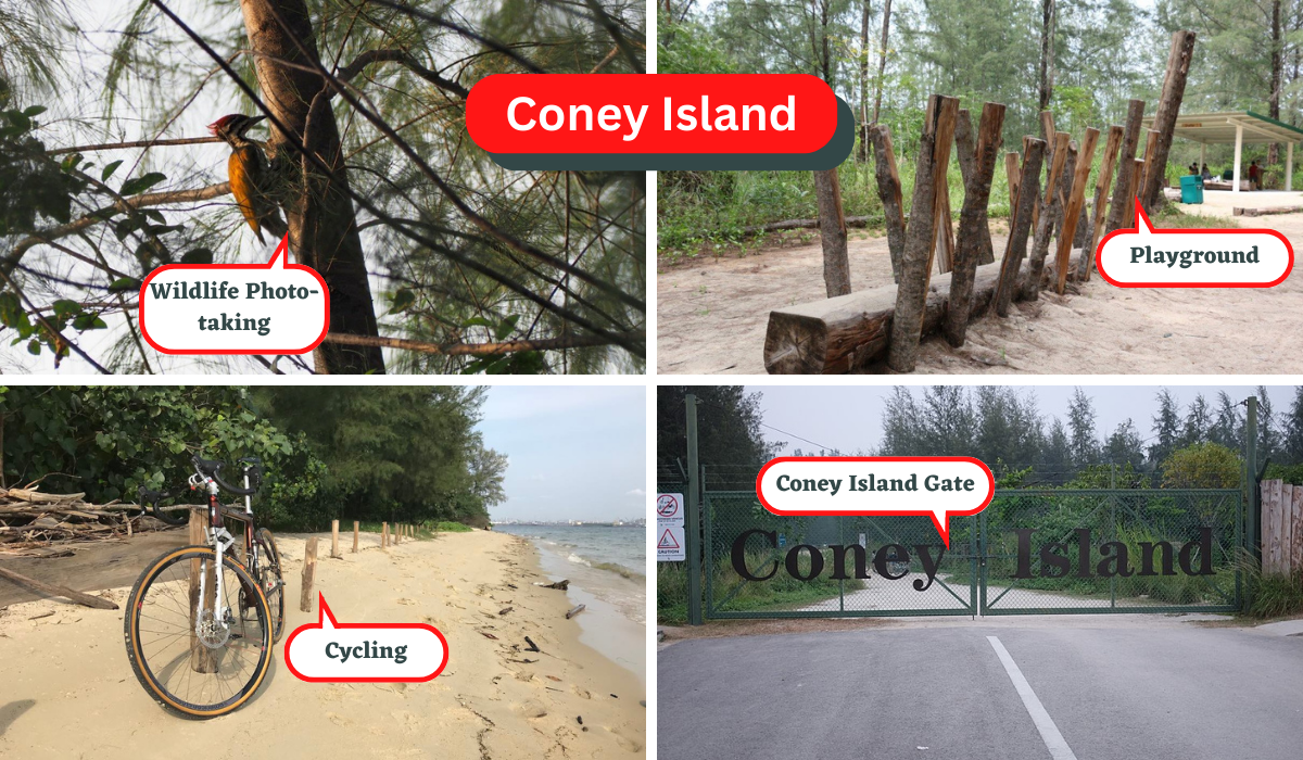 7 Best Things to do on Coney Island, Singapore [2025]