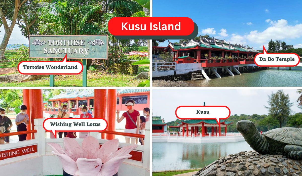 7 Things You Must See and Do on Kusu Island