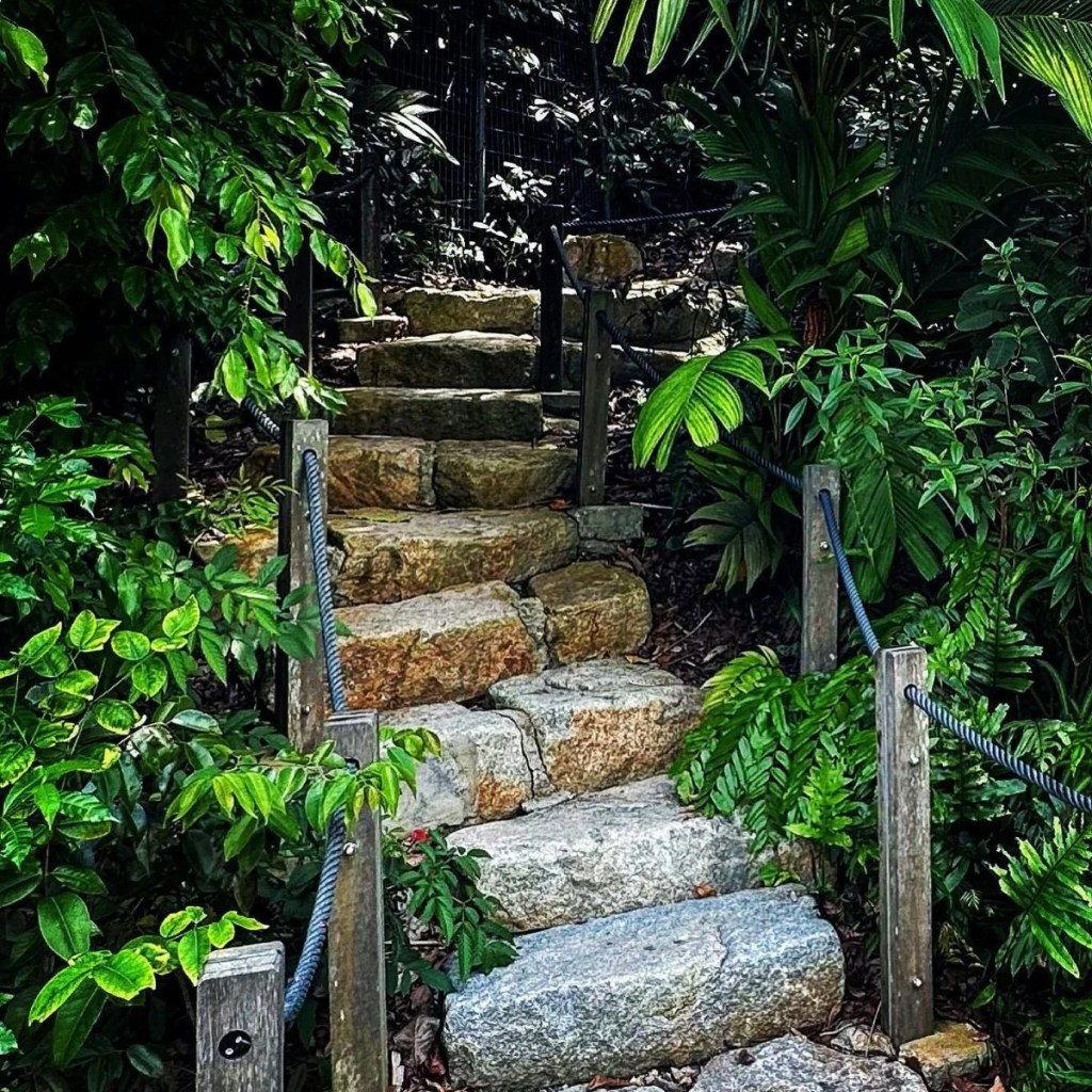 21 Fun & Exciting Things To Do in Singapore Botanic Gardens [2025]