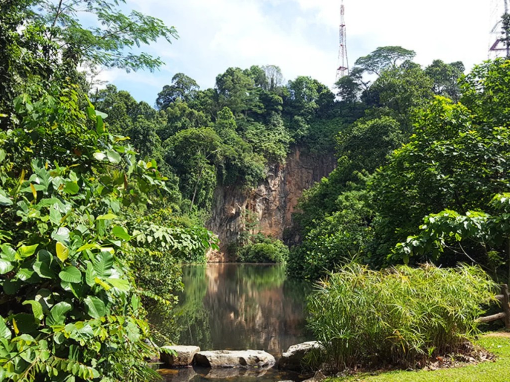 7 Best Hiking Trails In Singapore [2025]