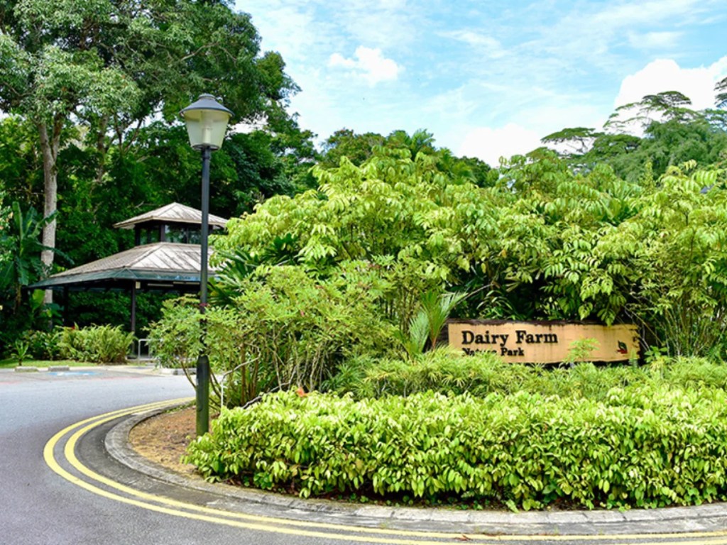 7 Best Hiking Trails In Singapore [2025]