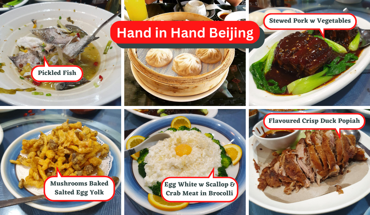 Hand in Hand Beijing (手拉手) – Delicious Xiao Long Baos and Authentic ...