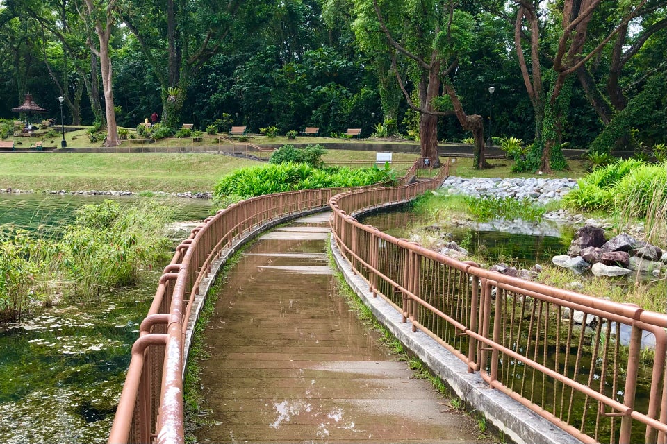 7 Things To Do in MacRitchie Reservoir Park [2025]