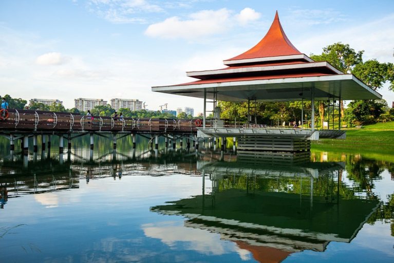 7 Things To Do in MacRitchie Reservoir Park [2025]