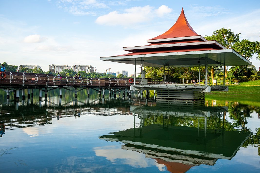 7 Things To Do in MacRitchie Reservoir Park [2025]
