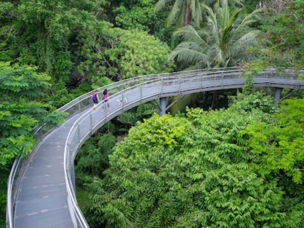 7 Best Hiking Trails In Singapore [2025]