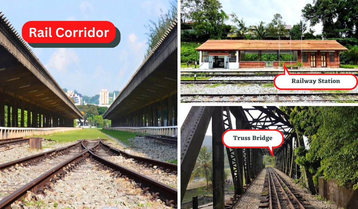 8 Best Things To Do in Rail Corridor Singapore [2025]