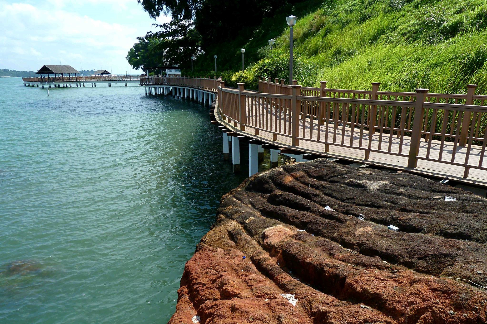 14 Best Cycling Routes in Singapore: The Most Scenic and Challenging ...
