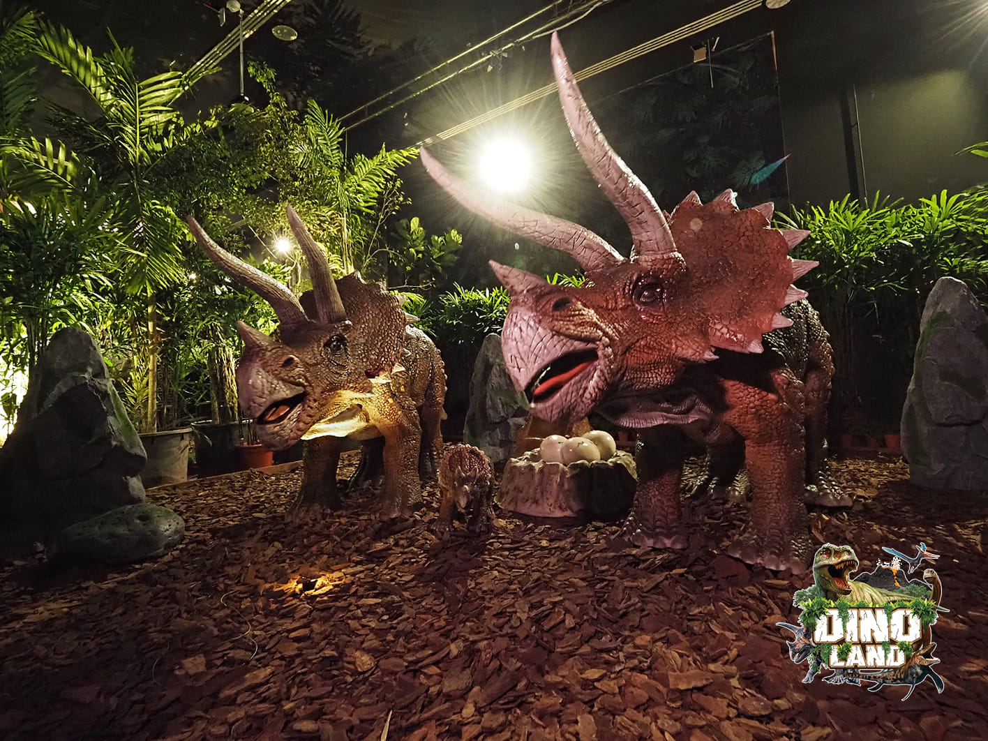 Dinoland Singapore: Discover the Wonders of the Prehistoric Era Today!