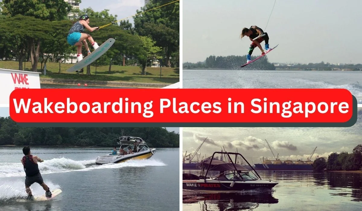 5 Best Wakeboarding and Water Skiing in Singapore [2025] : Ski, Surf ...