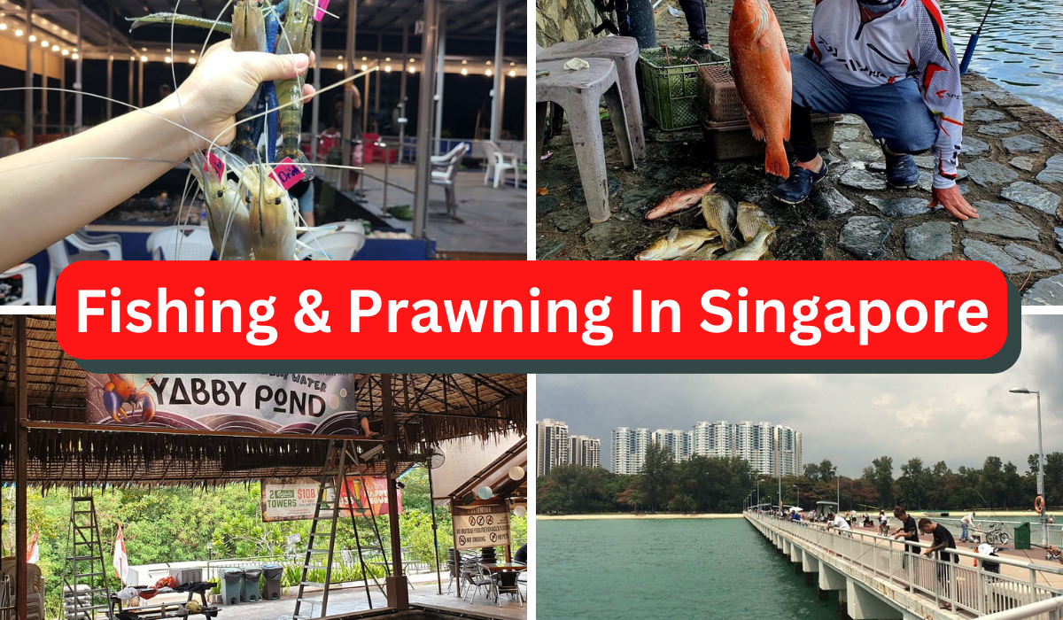 11 Best Spots For Fishing and Prawning in Singapore [2023]