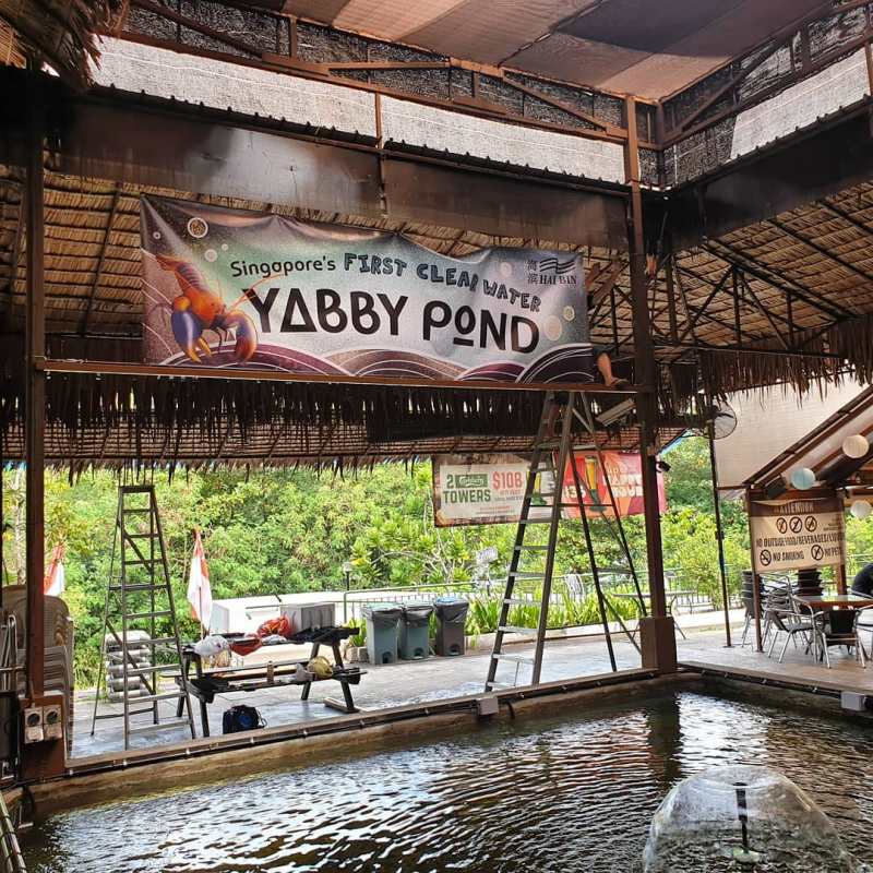 11 Best Spots For Fishing and Prawning in Singapore [2023]