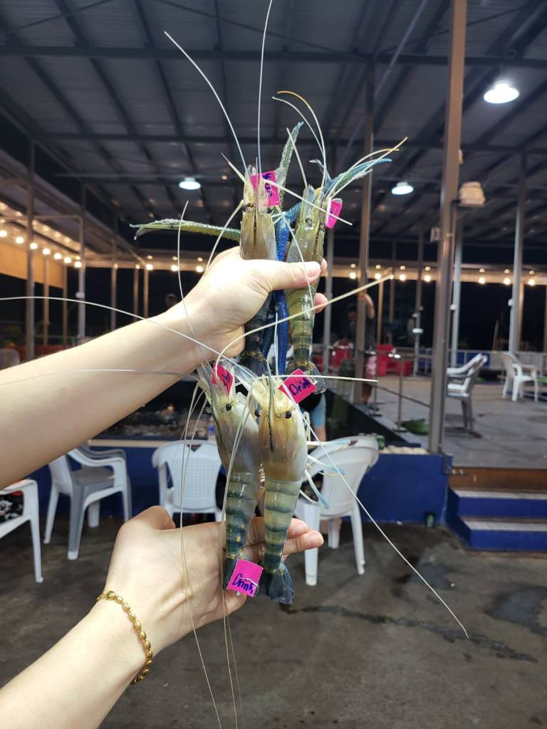 11 Best Spots For Fishing and Prawning in Singapore [2023]