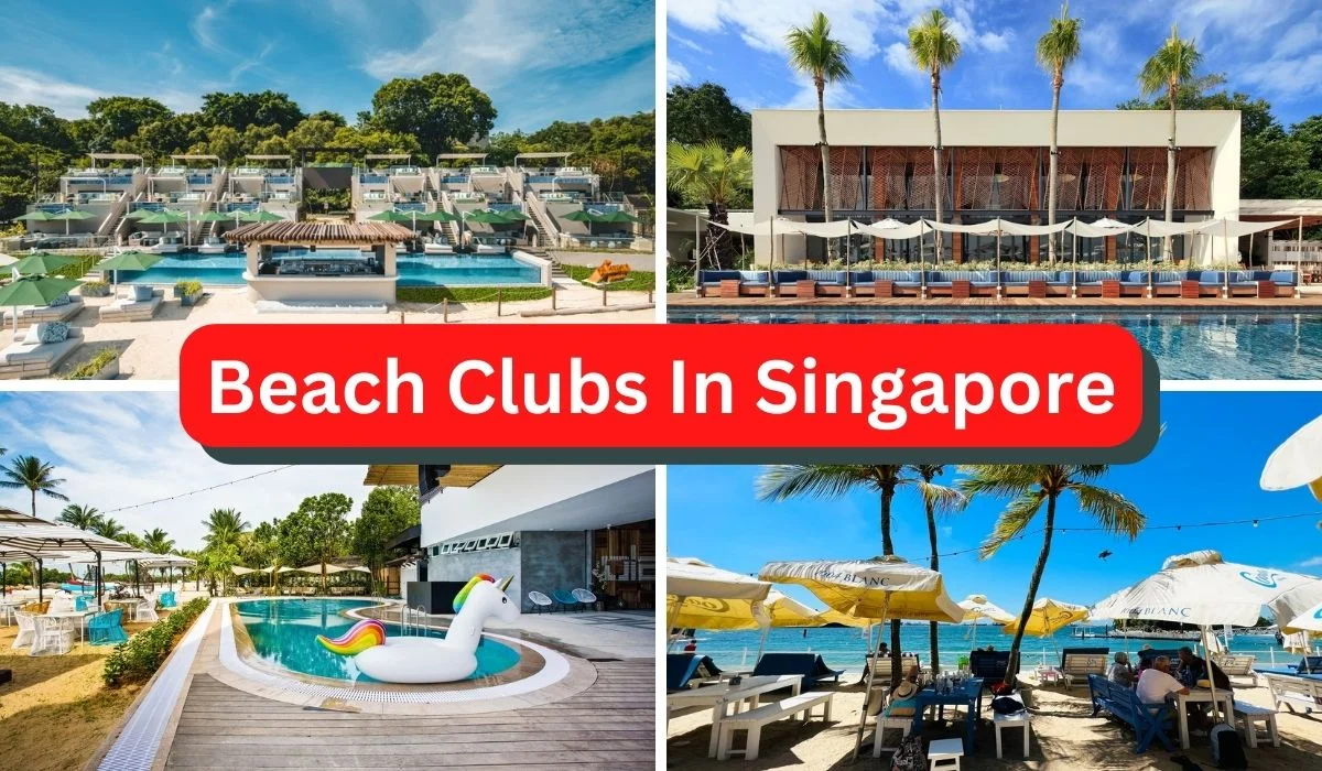 12 Best Beach Club In Singapore [2024]