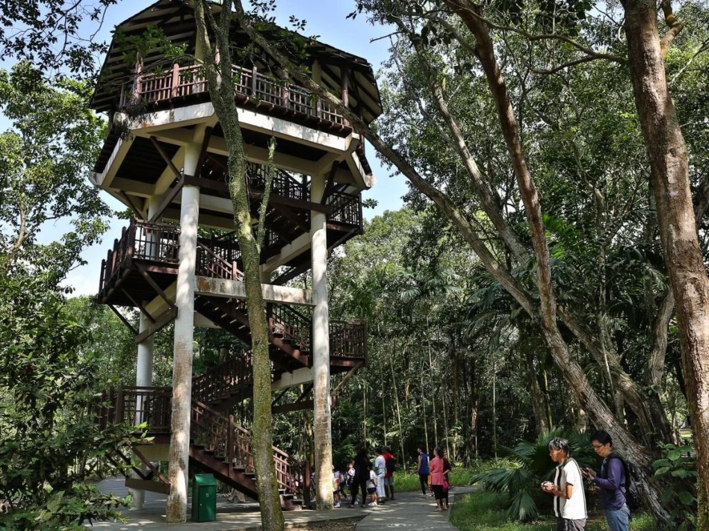 17 Things To Do In Pasir Ris [2024]