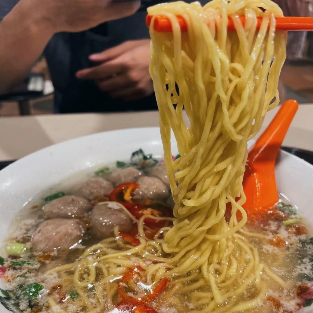 Xing Ji Rou Cuo Mian 兴记肉脞面 : Soup-Based Bak Chor Mee Gem