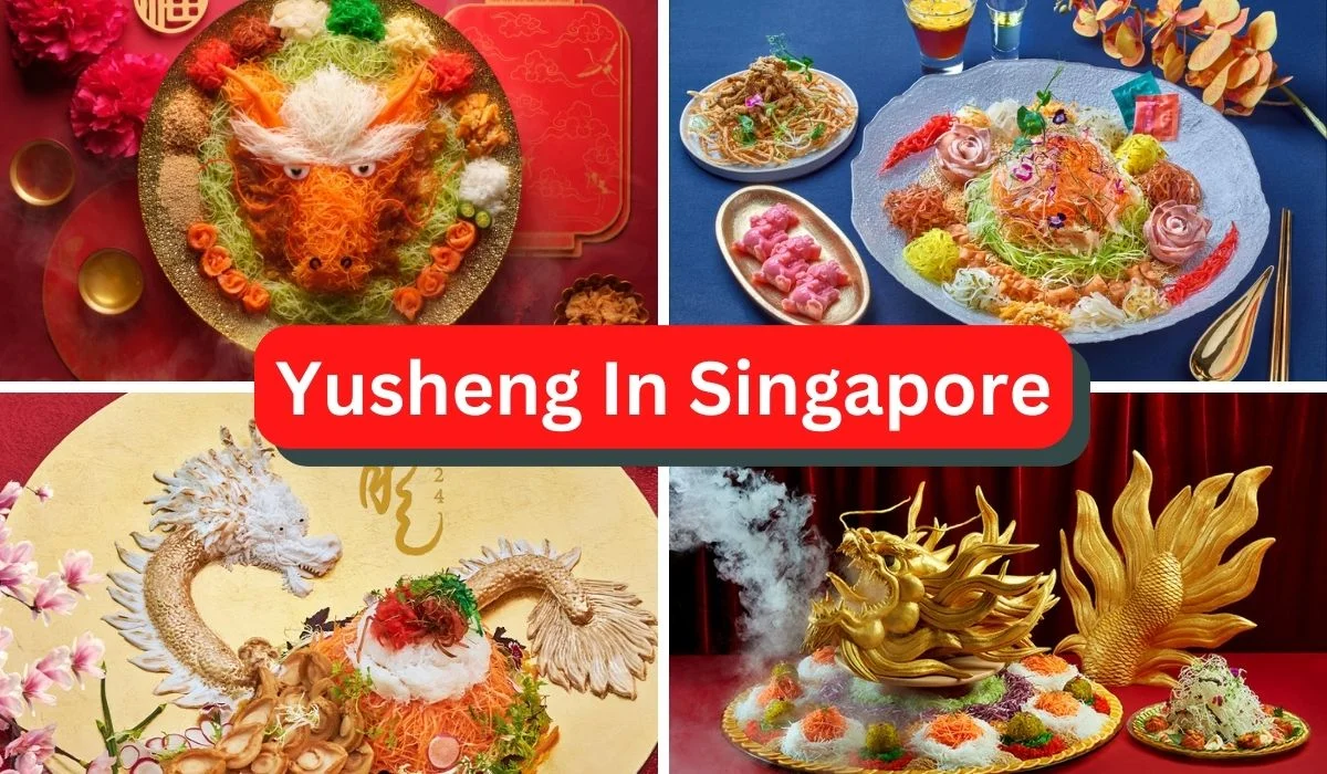 10 Best Yusheng In Singapore [2024]