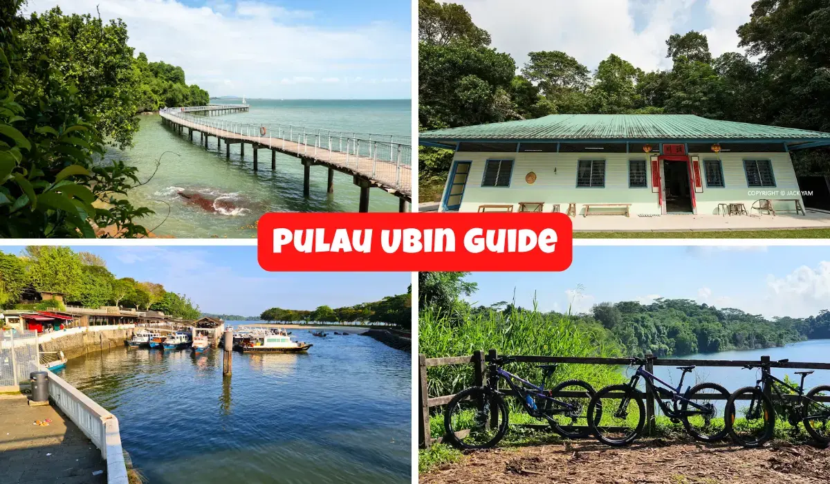 Pulau Ubin Guide – Best Things to Do in Pulau Ubin [2026] Ferry Info ...